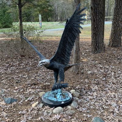 CAROLINA RAPTOR CENTER - 123 Photos & 68 Reviews - 6000 Sample Rd ...