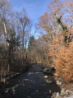 MIANUS RIVER PARK - 45 Photos & 14 Reviews - Hiking - Merriebrook Ln ...