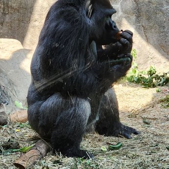 WOODLAND PARK ZOO - Updated June 2024 - 3742 Photos & 1000 Reviews ...