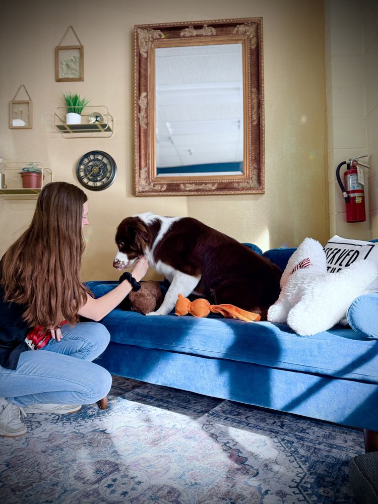 PRISTINE PAWS - Updated December 2025 - 35 Photos & 11 Reviews - 1344 Madonna Rd, San Luis ...