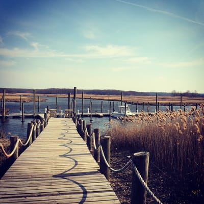 MORGAN MARINA - Updated August 2025 - 18 Photos - 8000 Gondek Dr ...