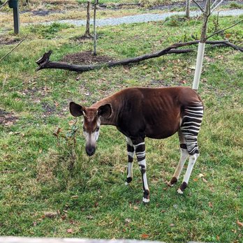 GREENSBORO SCIENCE CENTER - Updated August 2024 - 1286 Photos & 208 ...