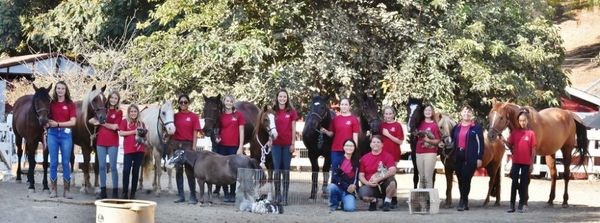 MYSTIC CANYON STABLE - 17 Photos & 11 Reviews - Palos Verdes Peninsula ...