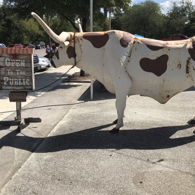 HELOTES COUNTRY CLUB - 15 Photos & 10 Reviews - 14687 Old Bandera Rd ...