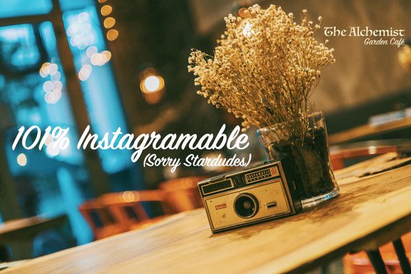 THE ALCHEMIST CAFE - 3484 Photos & 1866 Reviews - 2430 NE 13th Ave ...