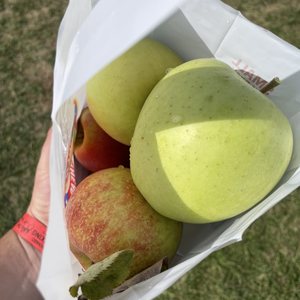 HARBES FAMILY FARM & VINEYARD - Updated August 2025 - 841 Photos & 301 ...