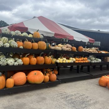 BJ REECE ORCHARDS - Updated December 2025 - 484 Photos & 207 Reviews ...