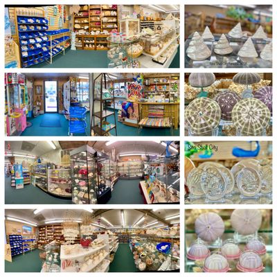 SEA SHELL CITY - Updated November 2025 - 16 Photos & 18 Reviews - 708 ...