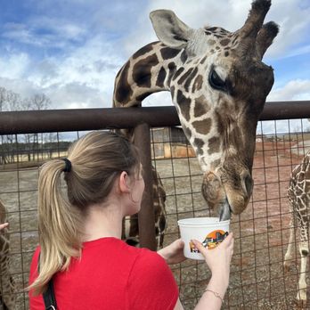 LAZY 5 RANCH - Updated December 2025 - 880 Photos & 302 Reviews - 15100 ...