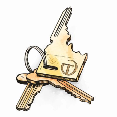 TITLEONE - Updated November 2025 - 1101 W River St, Boise, Idaho - Real ...