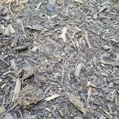 THE MULCH CENTER - Updated June 2024 - 28 Photos & 37 Reviews - 21457 ...