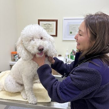 ROSECRANS VETERINARY CLINIC - Updated July 2025 - 44 Photos & 24 ...