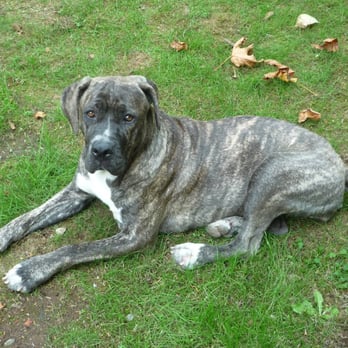 THE STILLWATER RANCH - Updated December 2025 - 14 Photos - Sultan ...