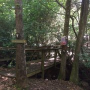 CAMP MERIWETHER GIRL SCOUTS OF GREATER ATLANTA - 22 Photos - Summer ...