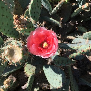 SUNNYNOOK RIVER PARK - Updated December 2025 - 30 Photos - Los Angeles ...