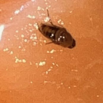 TENNOU SUSHI BAR - Updated January 2025 - 316 Photos & 152 Reviews ...