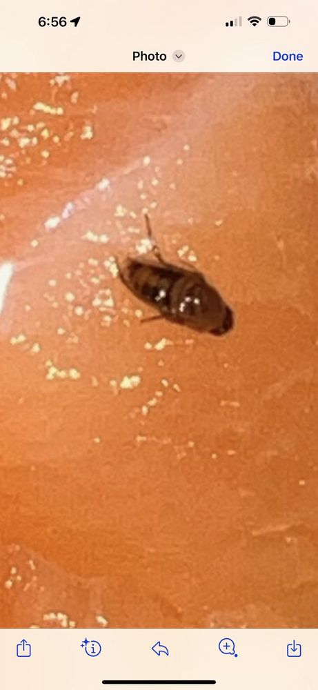 TENNOU SUSHI BAR - Updated September 2024 - 317 Photos & 149 Reviews ...