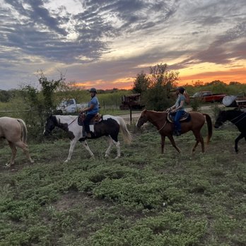 MAVERICK HORSEBACK RIDING - 188 Photos & 147 Reviews - Yelp