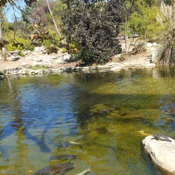 HOPKINS WILDERNESS PARK - Updated July 2025 - 262 Photos & 103 Reviews ...