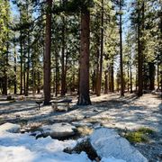 CRYSTAL LAKE - 368 Photos & 43 Reviews - Parks - San Gabriel Canyon ...