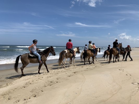 OUTER BANKS HORSEBACK - Updated August 2024 - 20 Photos - Bodie island ...