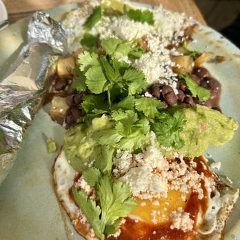 FIG TREE VENICE - Updated July 2024 - 997 Photos & 634 Reviews - 429 ...