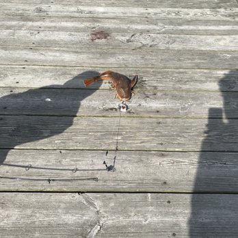 WALNUT BEACH - Updated January 2025 - 173 Photos & 36 Reviews - 113 E ...