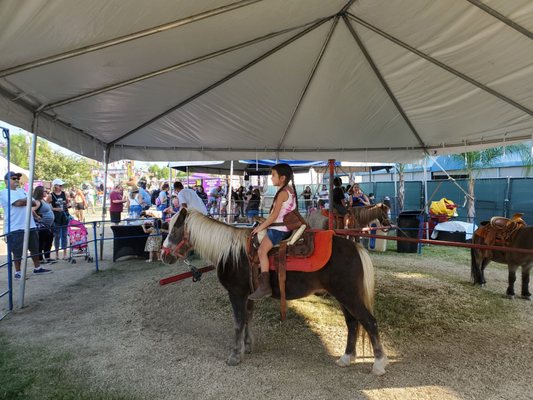 SOUTHERN CALIFORNIA FAIR - Updated September 2025 - 53 Photos & 30 ...
