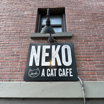 NEKO: A CAT CAFE - 885 Photos & 292 Reviews - 519 E Pine St, Seattle ...
