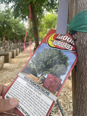 MOON VALLEY NURSERIES - Updated August 2025 - 49 Photos & 61 Reviews - 3550 N Loop 1604 E, San ...