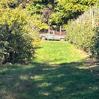 DEMAREST FARM - Updated August 2024 - 772 Photos & 333 Reviews - 244 ...