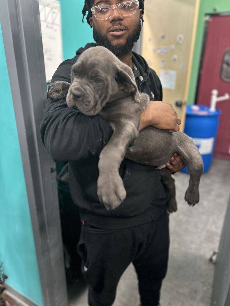 SAFARI STAN’S PET CENTER - Updated September 2025 - 33 Photos & 59 ...