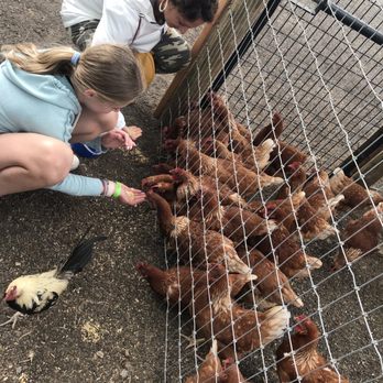 FINK’S COUNTRY FARM - Updated November 2024 - 171 Photos & 79 Reviews ...