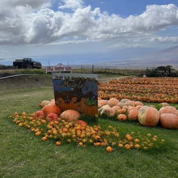 KULA COUNTRY FARMS - Updated December 2024 - 990 Photos & 127 Reviews ...