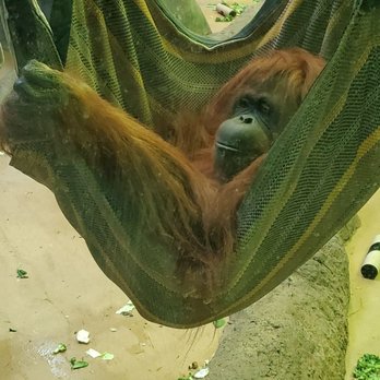 RACINE ZOO - Updated January 2026 - 134 Photos & 87 Reviews - 2131 N ...