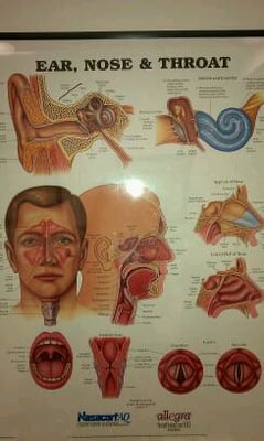 LOOS BENJAMIN M, MD - Updated January 2026 - 37 Reviews - 2700 Grant St ...