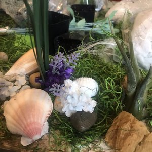 THE VAULT - Updated July 2025 - 78 Worcester Rd, Webster, Massachusetts ...