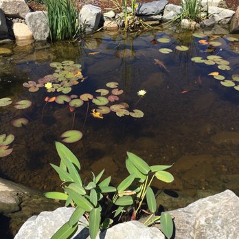 FOUR TOWN FARM - Updated September 2025 - 129 Photos & 87 Reviews - 90 ...