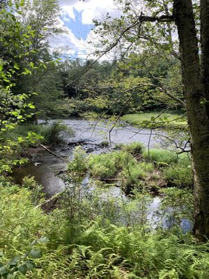 AUSTIN T. BLAKESLEE RECREATION AREA - Updated October 2025 - 18 Photos ...
