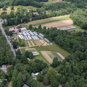 DUTTON BERRY FARM - 24 Photos - 2083 Depot St, Manchester, Vermont ...