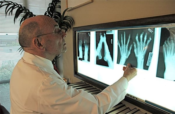 RODNEY BLUESTONE MEDICAL CORPORATION - Updated December 2025 - 10 ...