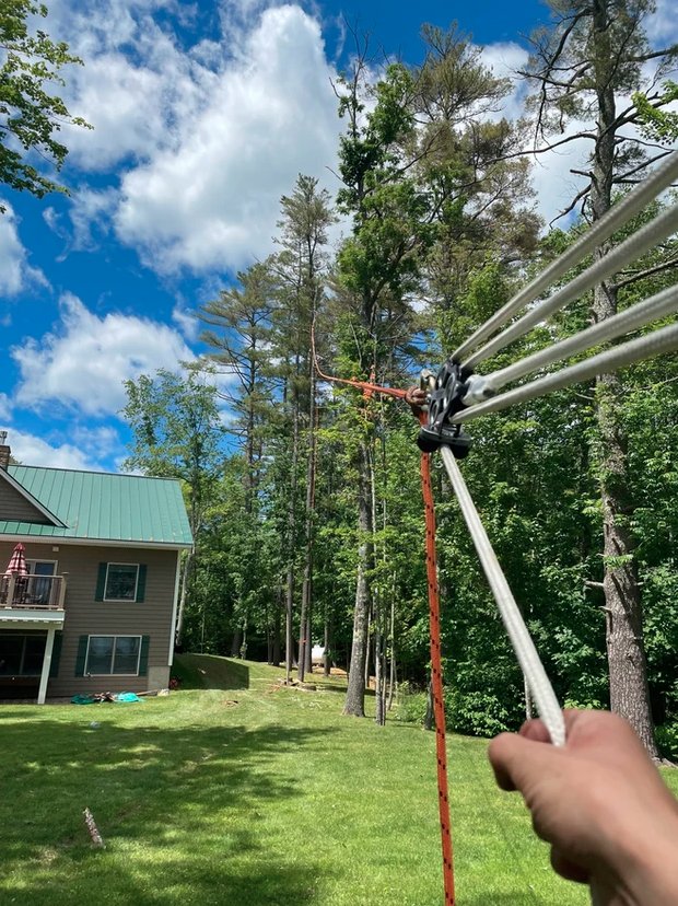 IN THE PINES TREE CARE - Augusta, Maine - Tree Services - Phone Number ...