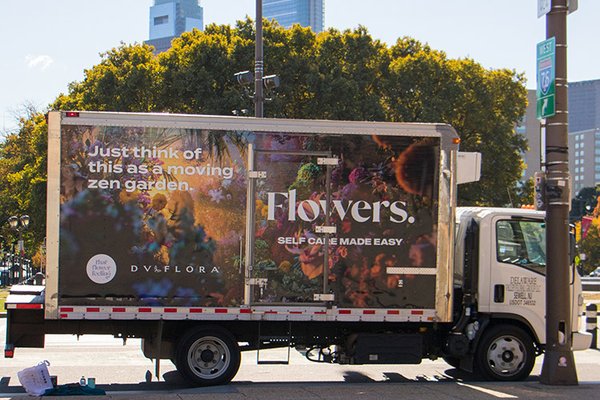 DVFLORA - Updated December 2024 - 206 Murphy Rd, Hartford, Connecticut ...