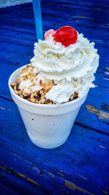 BO’S ICE CREAM - 158 Photos & 242 Reviews - 7101 N Florida Ave, Tampa ...