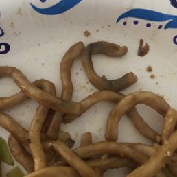 MANTIS GOURMET CHINESE FOOD - Updated December 2025 - 164 Photos & 312 ...