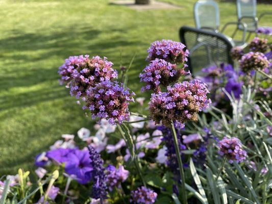 VICTORIA GOLF COURSE AND DRIVING RANGE - Updated August 2024 - 82 ...