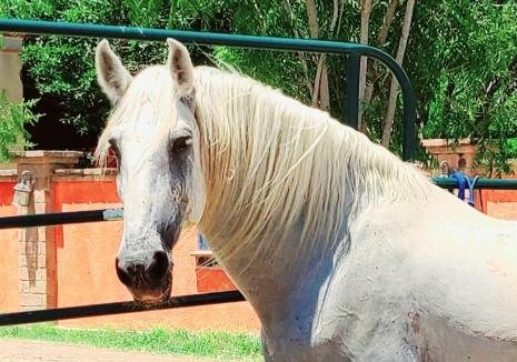 LA BOTA RANCH EQUESTRIAN CENTER - Updated October 2025 - 307 Muller ...