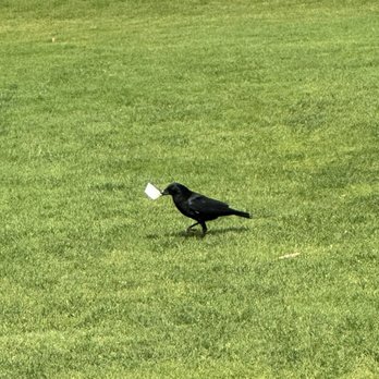 IL PARCO - Updated April 2024 - 79 Photos & 65 Reviews - 215 Lincoln ...