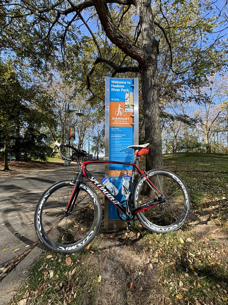 TOGA BIKES SHOP - Updated May 2026 - 23 Photos & 238 Reviews - 110 W ...