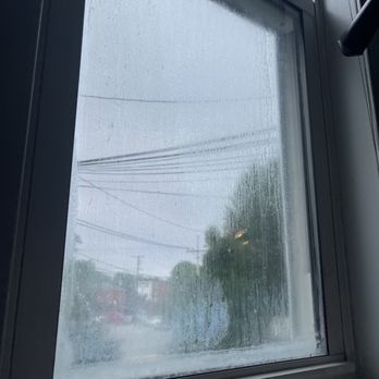 SOLO GLASS - Updated January 2026 - 16 Photos & 113 Verified Reviews ...